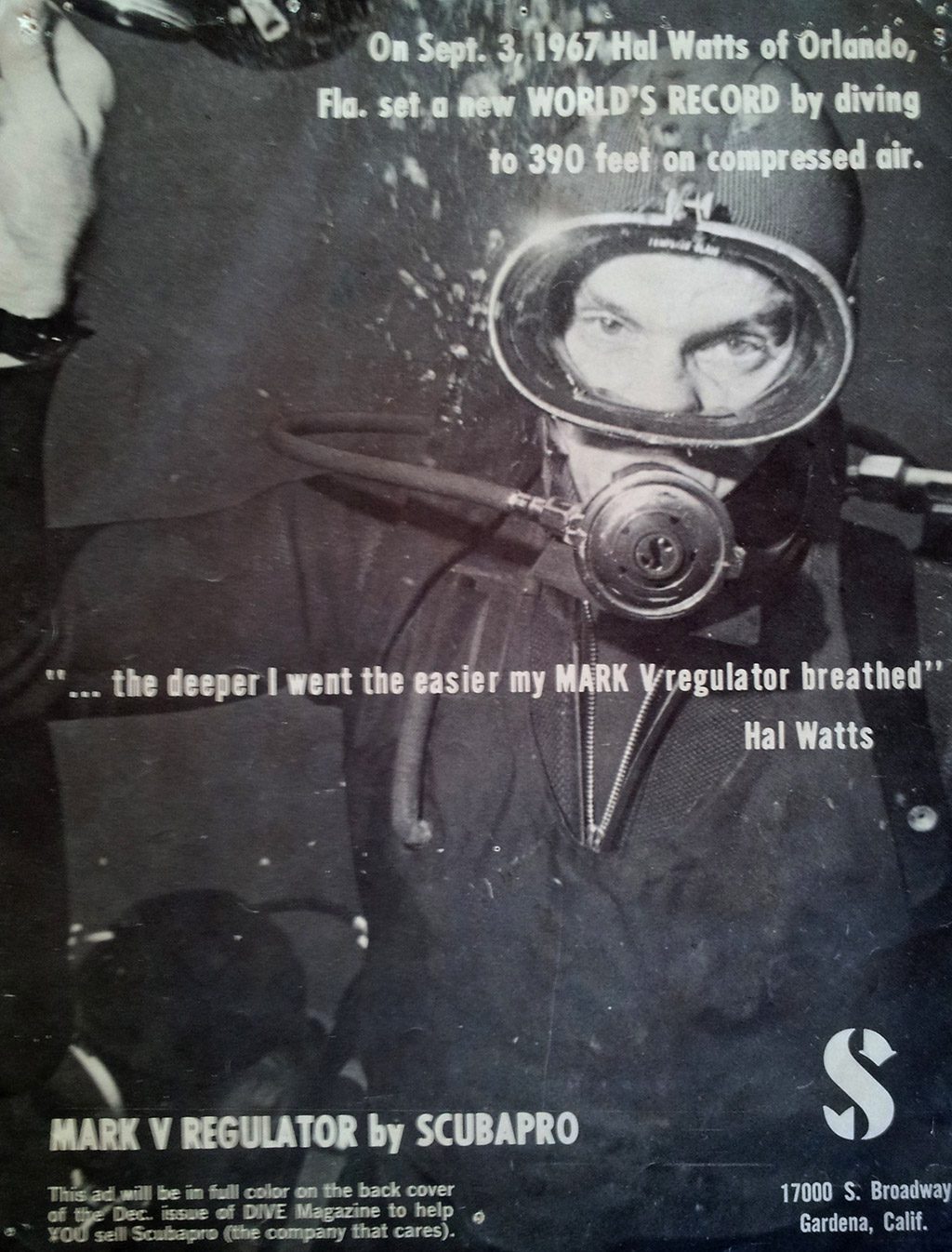 Plan Your Dive – Dive Your Plan: Honoring the Life and Legacy of Hal ...