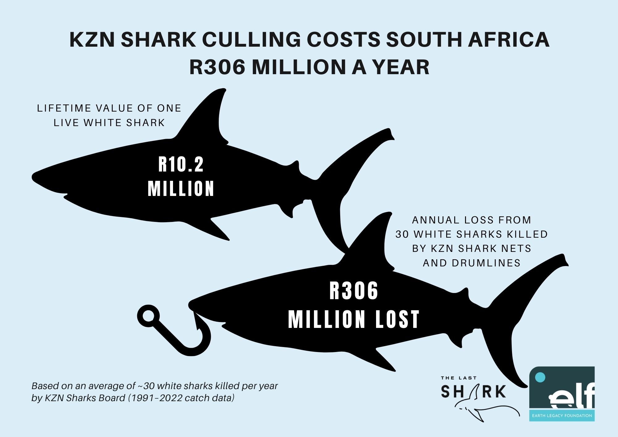 KwaZulu-Natal Shark Culling Under Fire: How NAUI Divers Can Join The ...